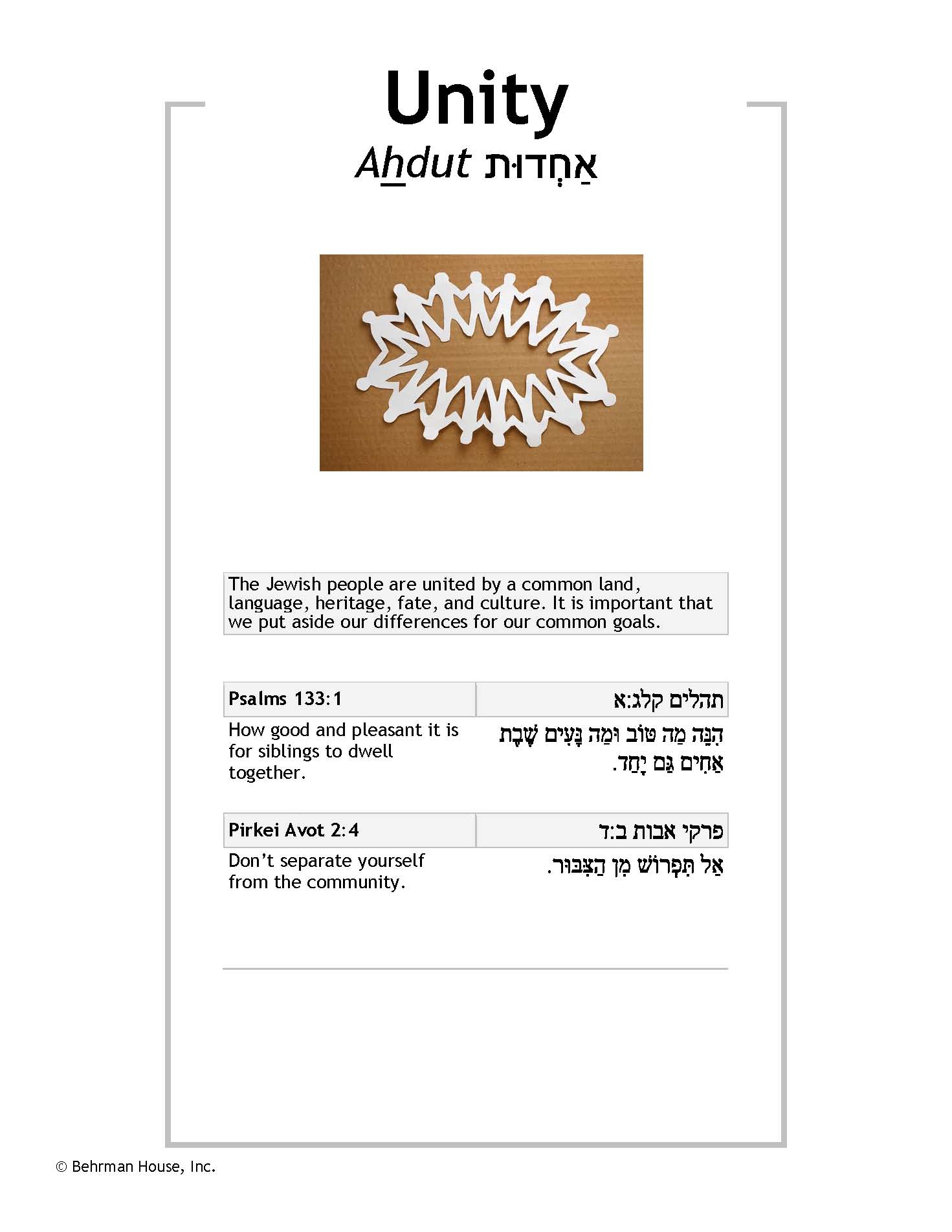language st unity pro